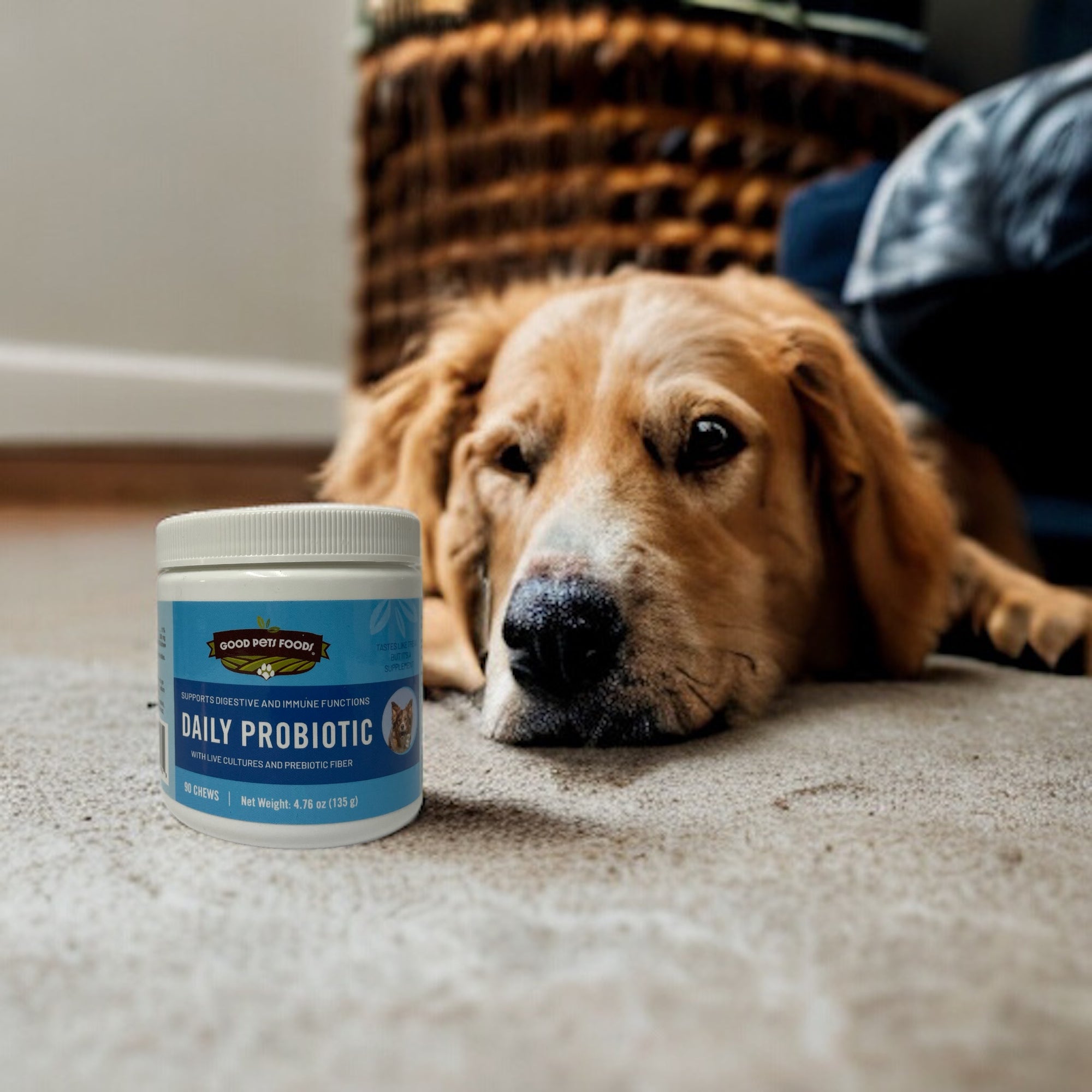 Probiotic for Dogs – Good Pets Foods